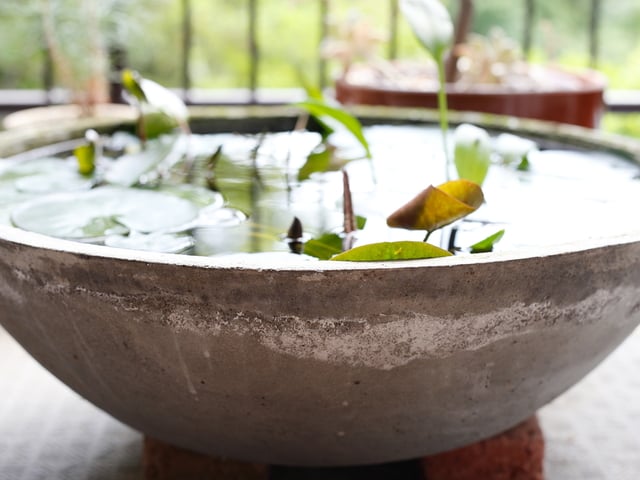 モルタルの水鉢に白い粉が白華現象エフロレッセンスについて kanayon mさんの三卯養魚場の小物雑貨4 6 イエナカ手帖